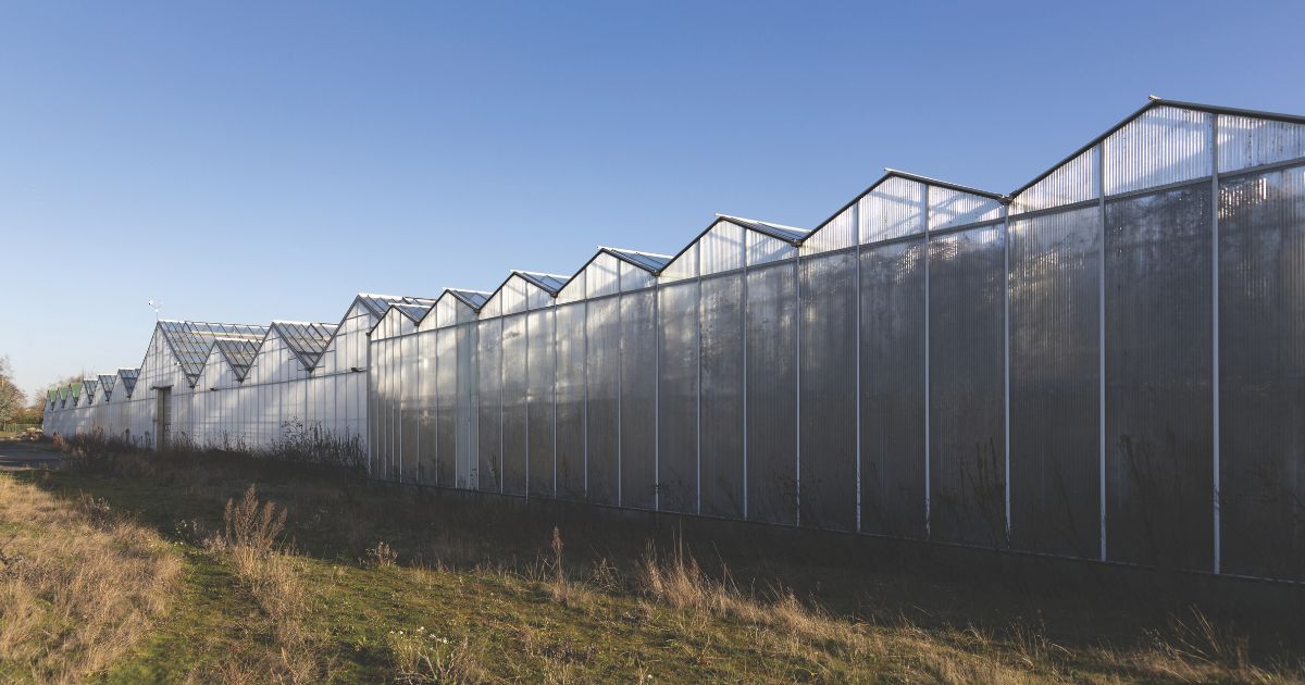 Une nouvelle page agricole s'ouvre à Avrainville - Cœur d’Essonne ...